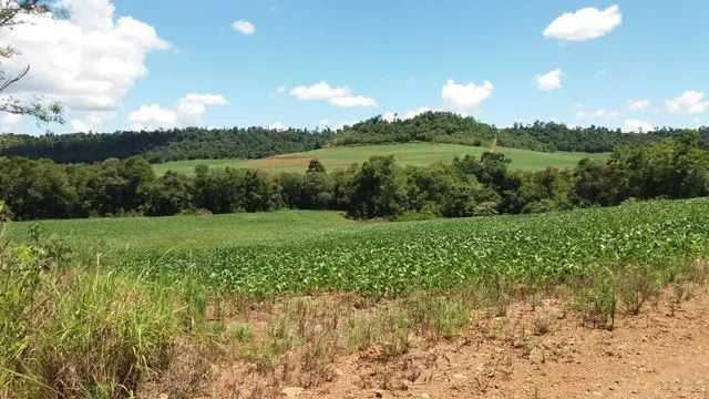 ESB-410 | 10 Litros - Transforme Sua Agricultura com Drones